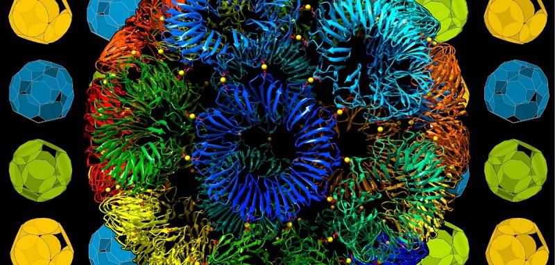 Scientists make unbelievable nano-sized protein cages with gold