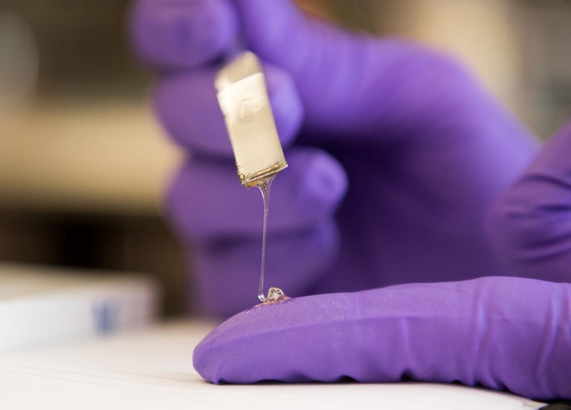 Scientists create new biodegradable adhesive
