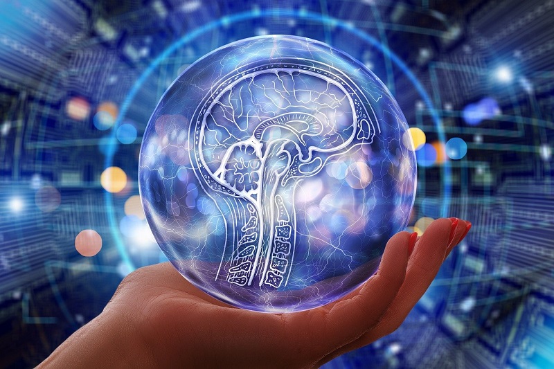 Scientists point out the path toward brain-like computers