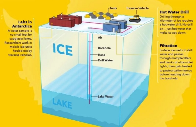 Antarctic subglacial lakes are cold, dark and full of secrets