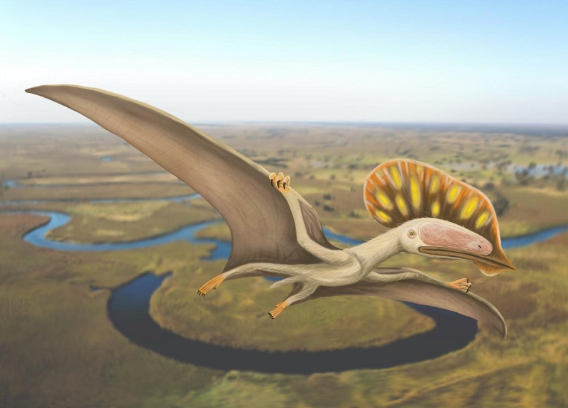Scientists find rare pterodactyl fossil in the UK